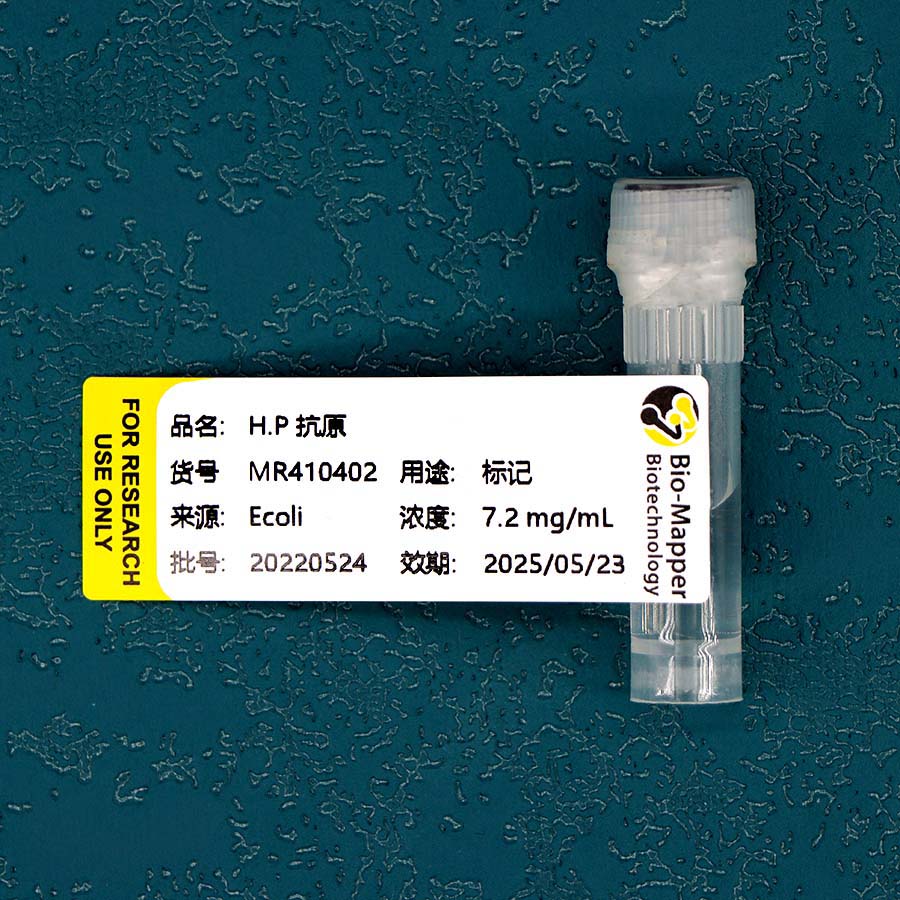 幽门螺旋杆菌（H.pylori） – 迈跃生物