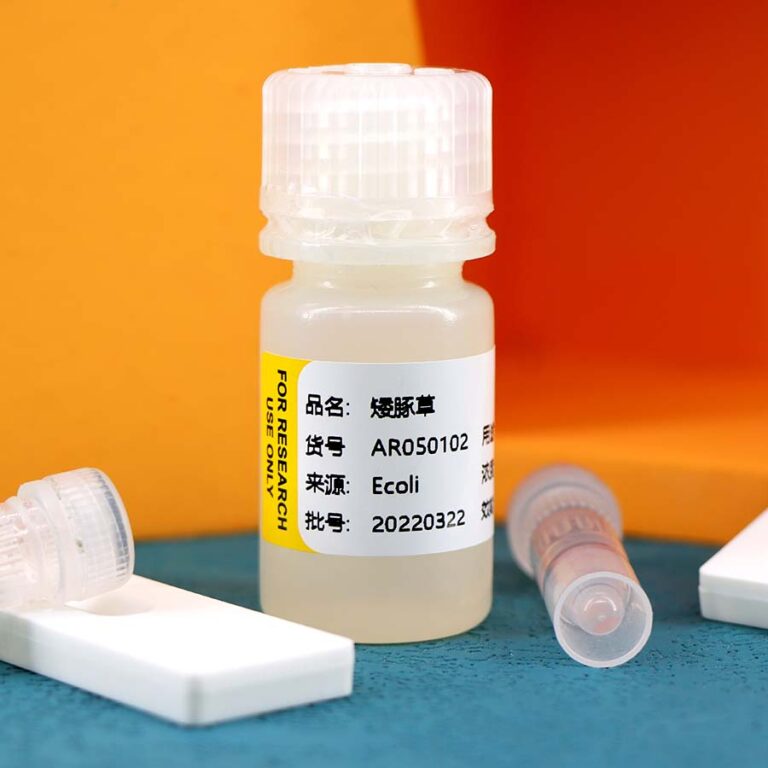 矮豚草（Dwarf ragweed） – 迈跃生物